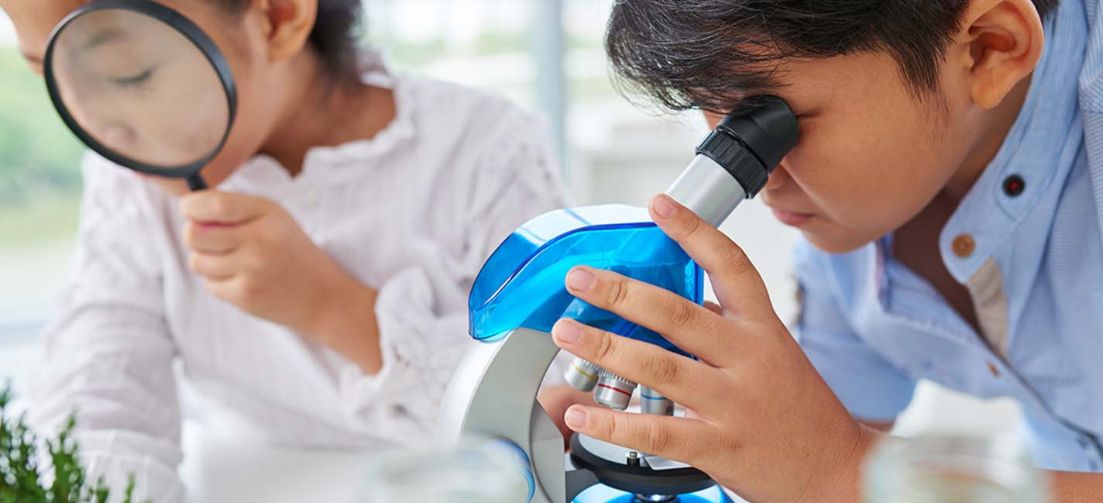 Daycare and Library Workshops | Kids Activities | Mad Science